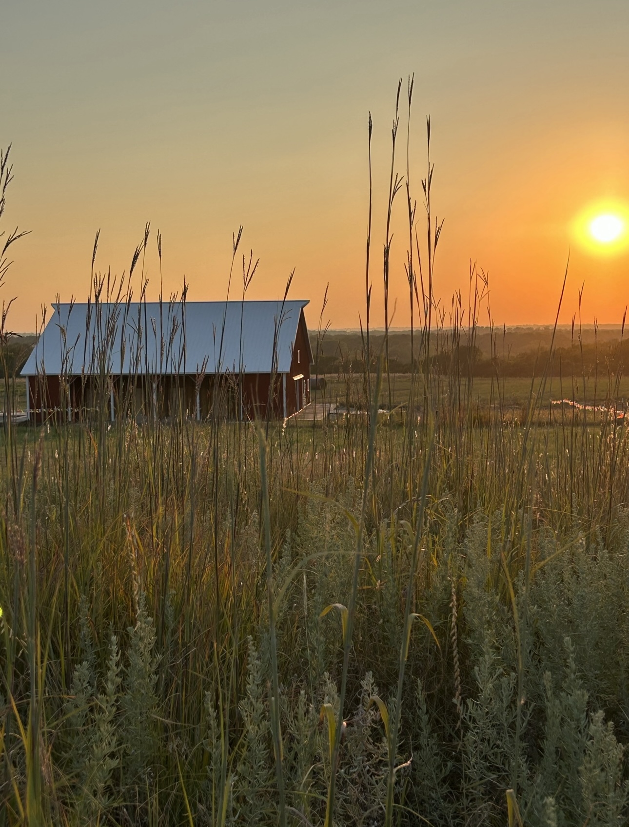 Services – Triple G Ranch